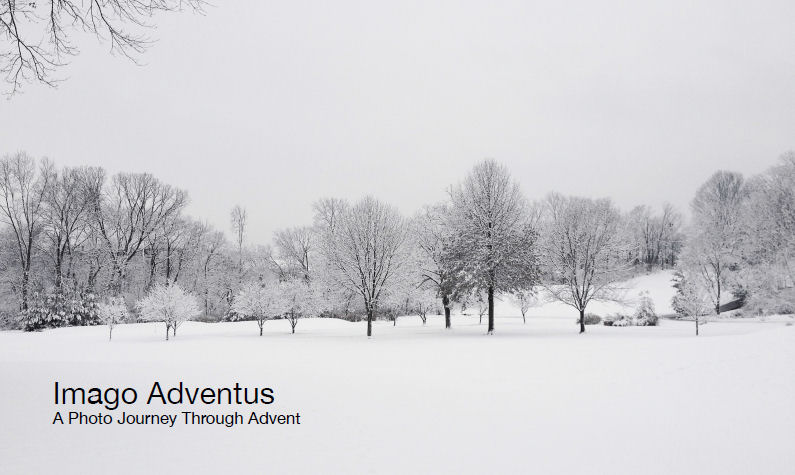 Worshipping communities partner to create new Advent devotion book ...