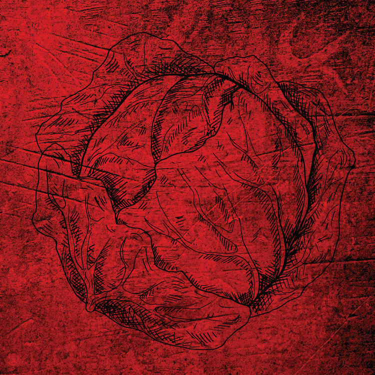 Cabbage - The Presbyterian Outlook